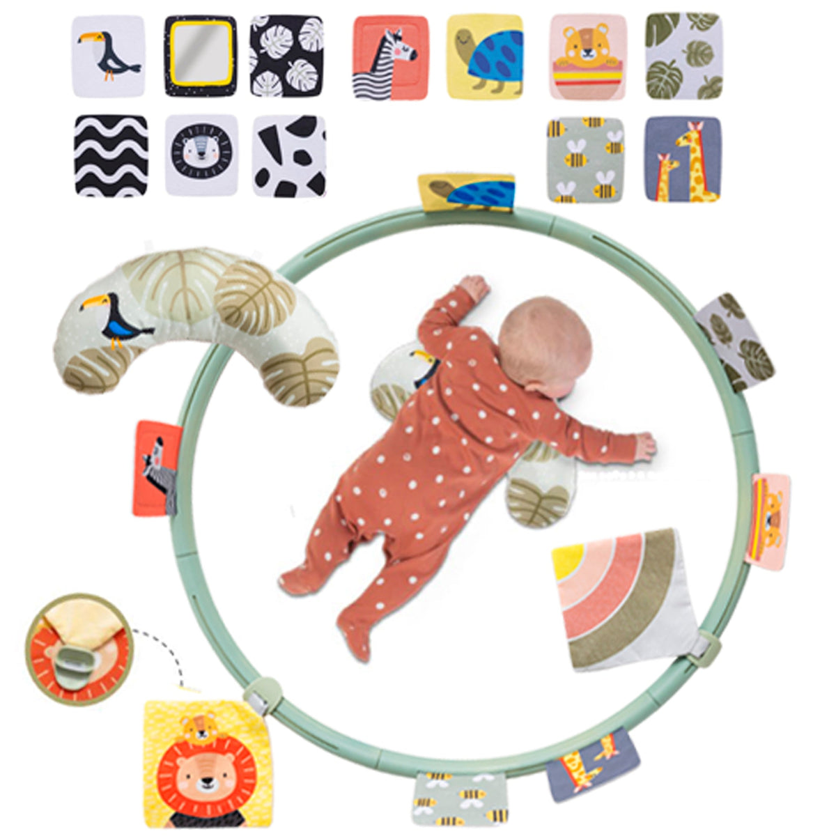 Taf Toys Tummy Time Trainer — Baby Zone